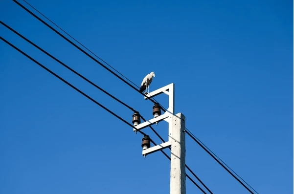 Overhead Cable Uncovered:Composition,Operation and Functionality