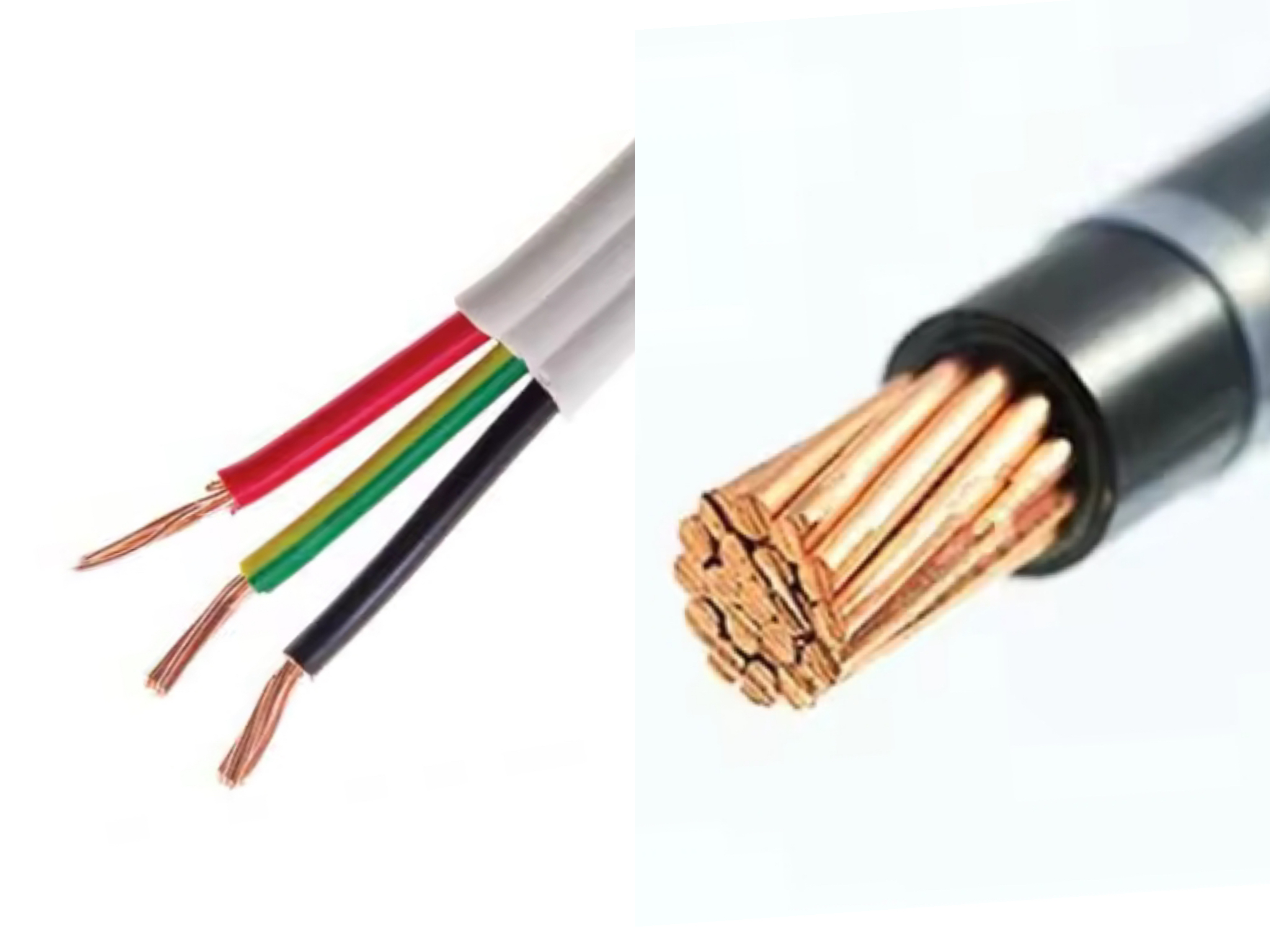 CAN Bus Cable: What They Are and How They Function